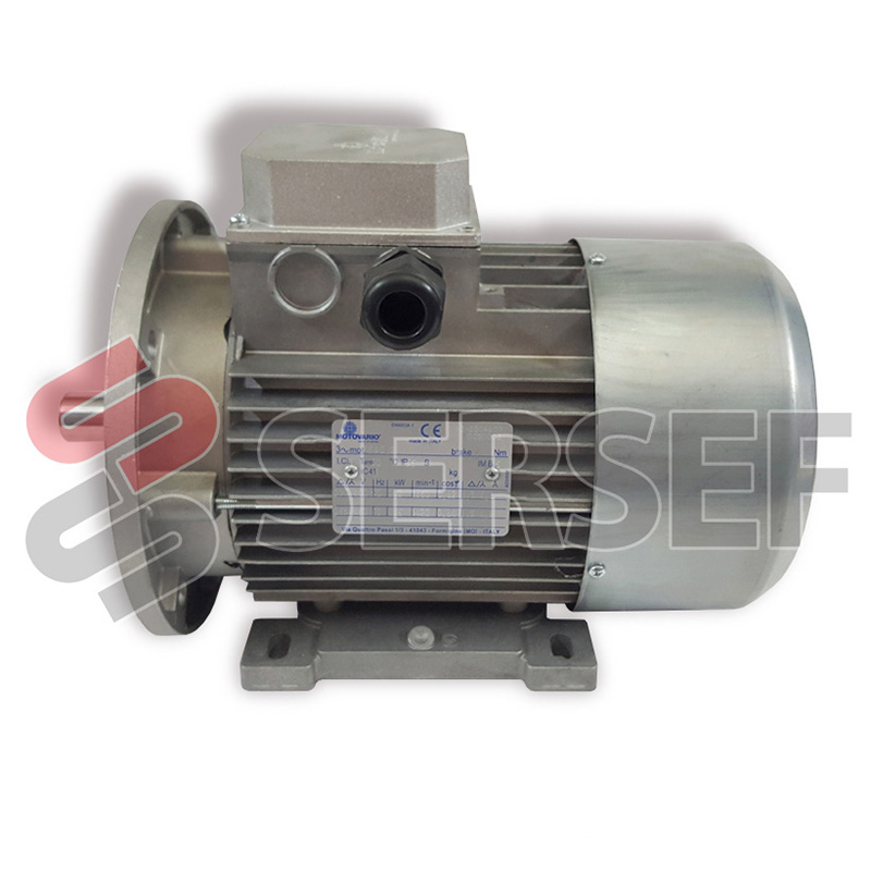 MOTOR TH100/2 3KW IE2 IMB35 IP66 230-400/265-460V 50-60HZ MARCA ...