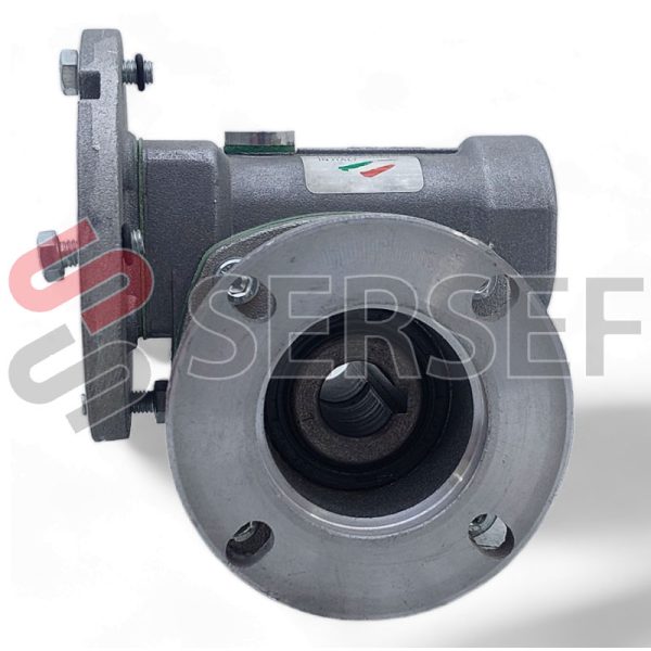 REDUCTOR RMI 28/FL I=1:7 PAM=56B14 FORO=14 MM MARCA STM – SERSEF